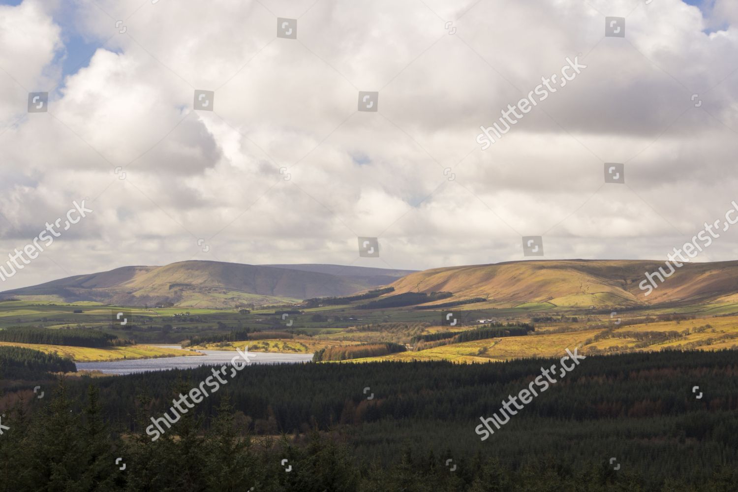 Stocks Reservoir Gisburn Forest Lancashire Uk Editorial Stock Photo ...