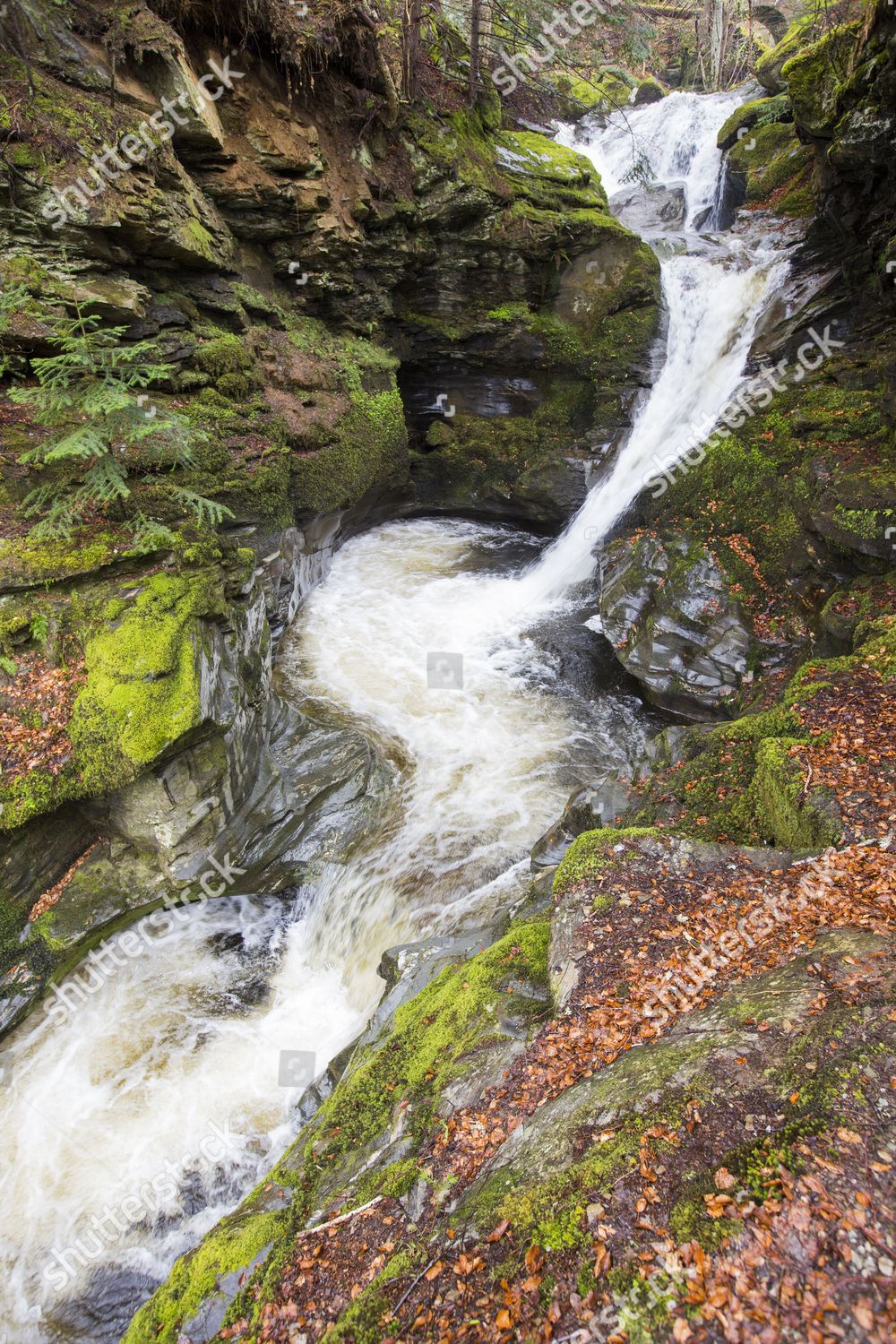 Falls Acharn On Side Loch Tay Editorial Stock Photo - Stock Image ...