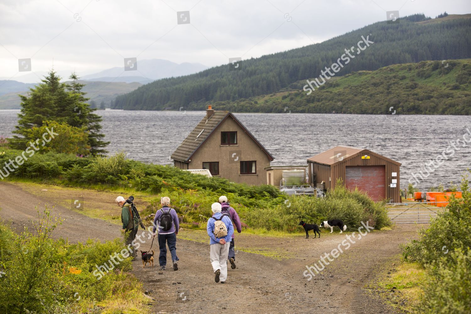 Family Group Walking Along Loch Frisa Editorial Stock Photo - Stock ...