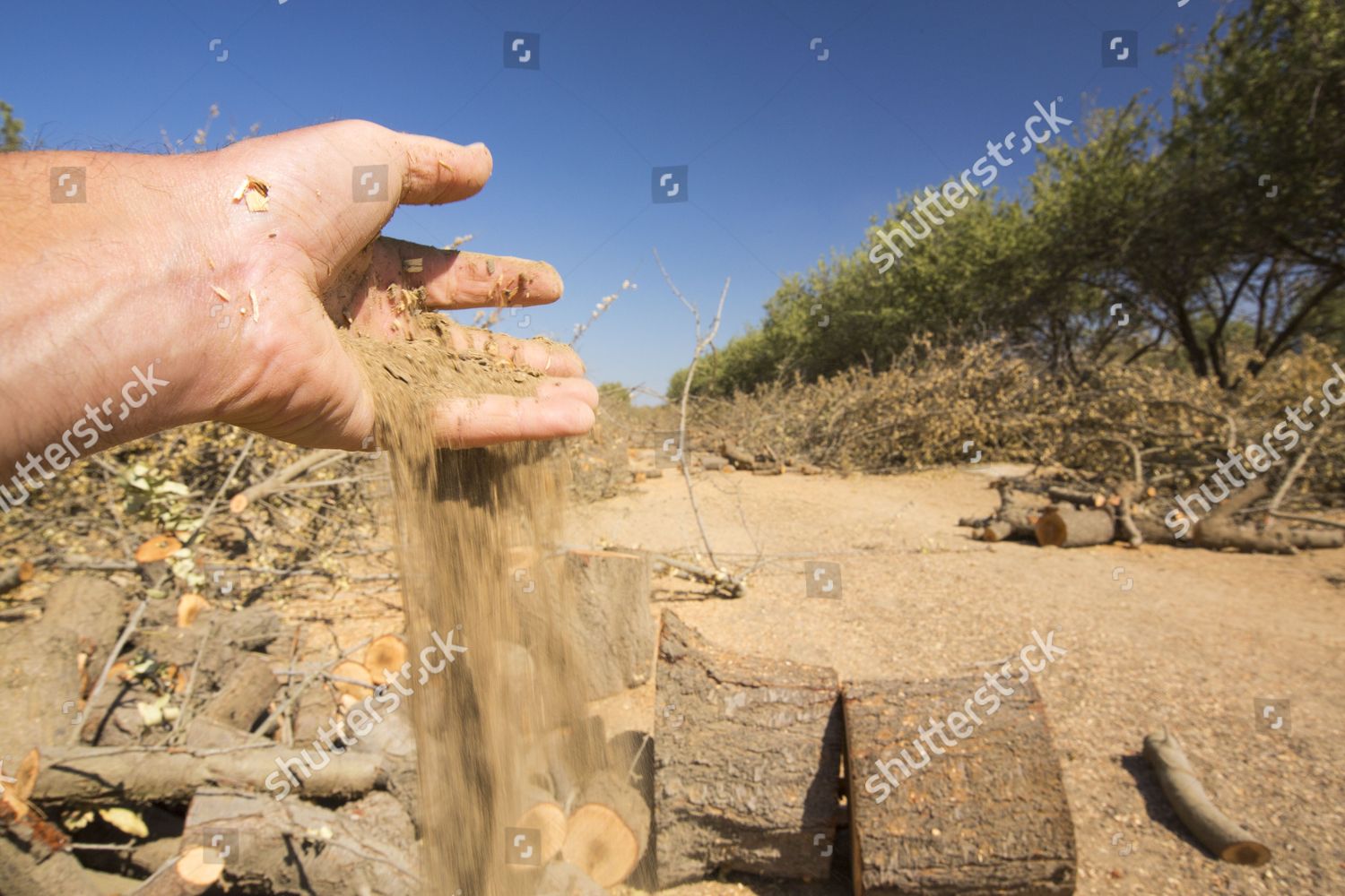 Soil Turned Dust Almond Groves Being Editorial Stock Photo - Stock ...