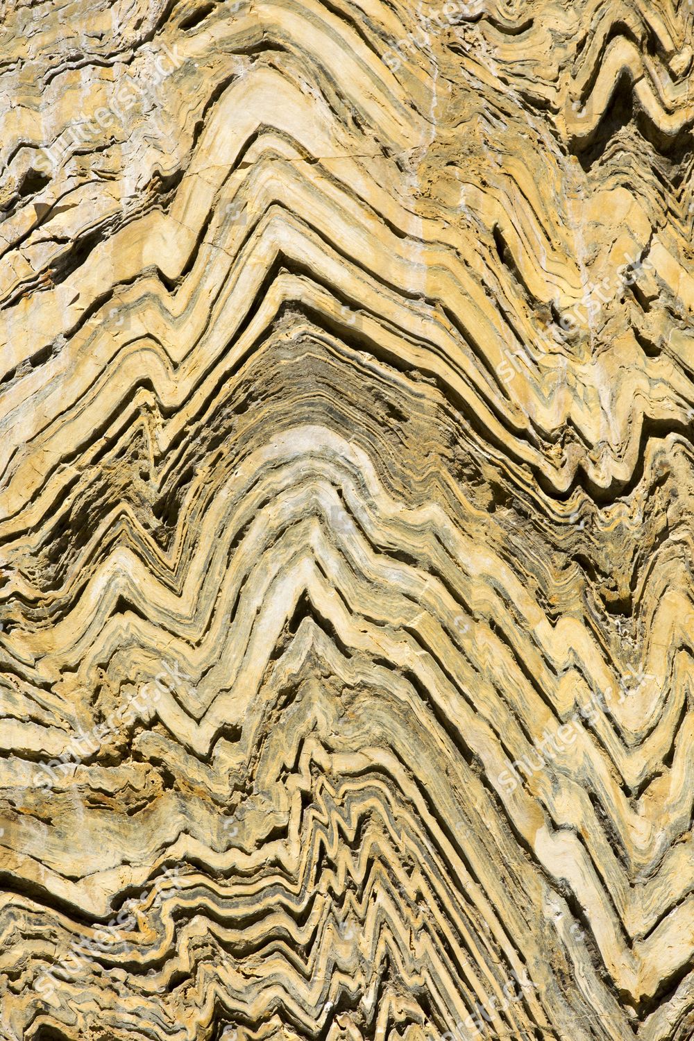 Folded Metamorphic Rock Kings Canyon National Editorial Stock Photo ...