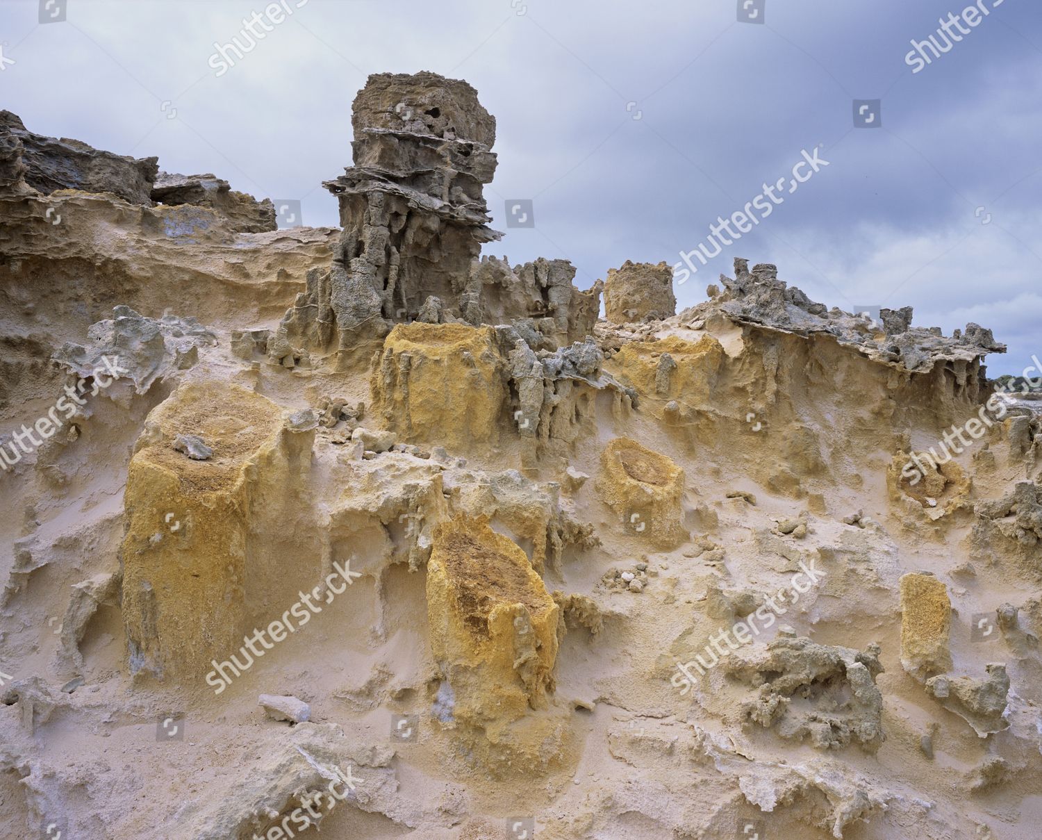 Petrified Forest Cape Bridgewater Victoria Australia Editorial Stock ...