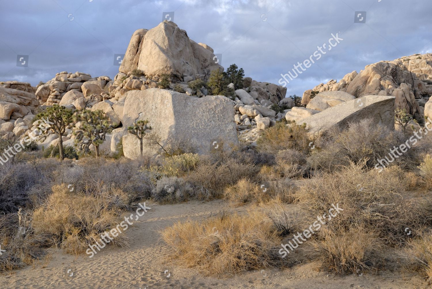 Rock Formation Monzogranite Hidden Valley Joshua Editorial Stock Photo ...