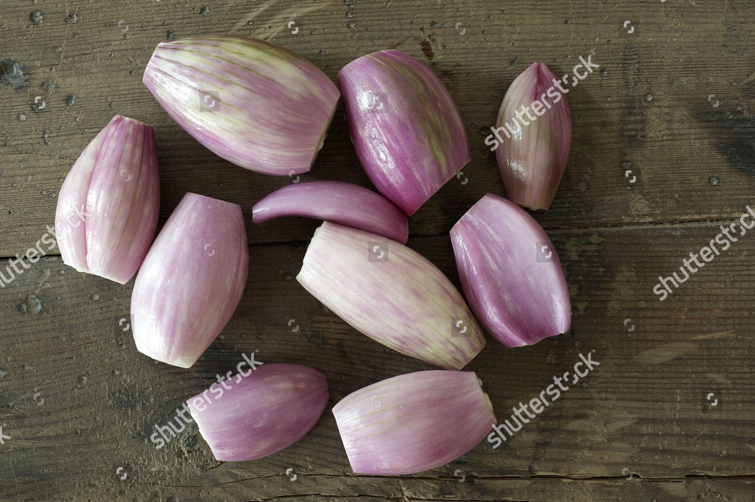 Peeled Shallots Eschalotte Allium Ascalonicum Editorial Stock Photo ...