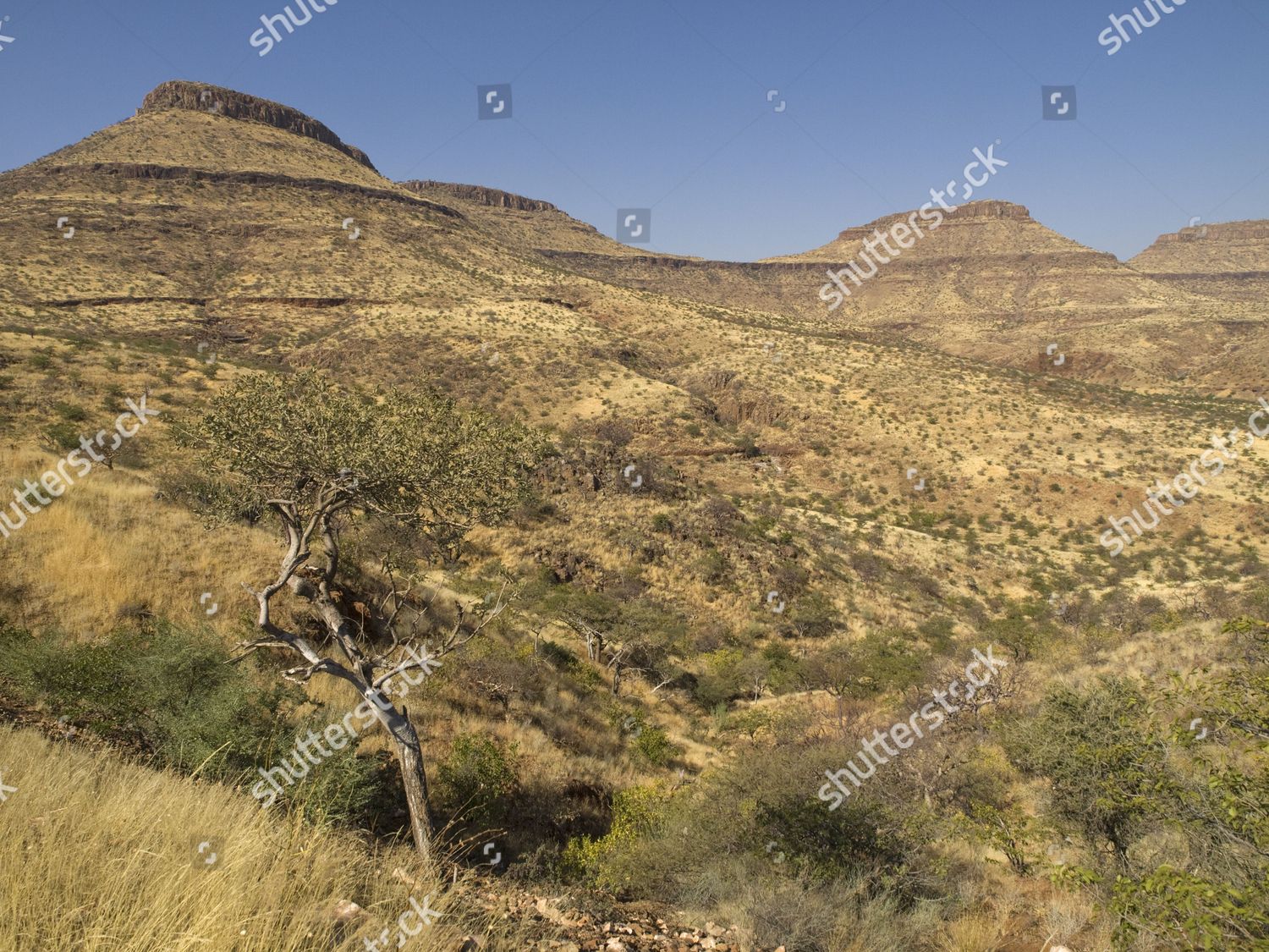 Landscape Grootberg Mountain Pass Namibia Africa Editorial Stock Photo ...