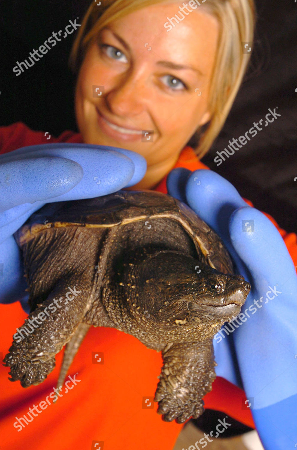 Marine Biologist Emma Cartwright Aggressive Snapping Editorial Stock ...