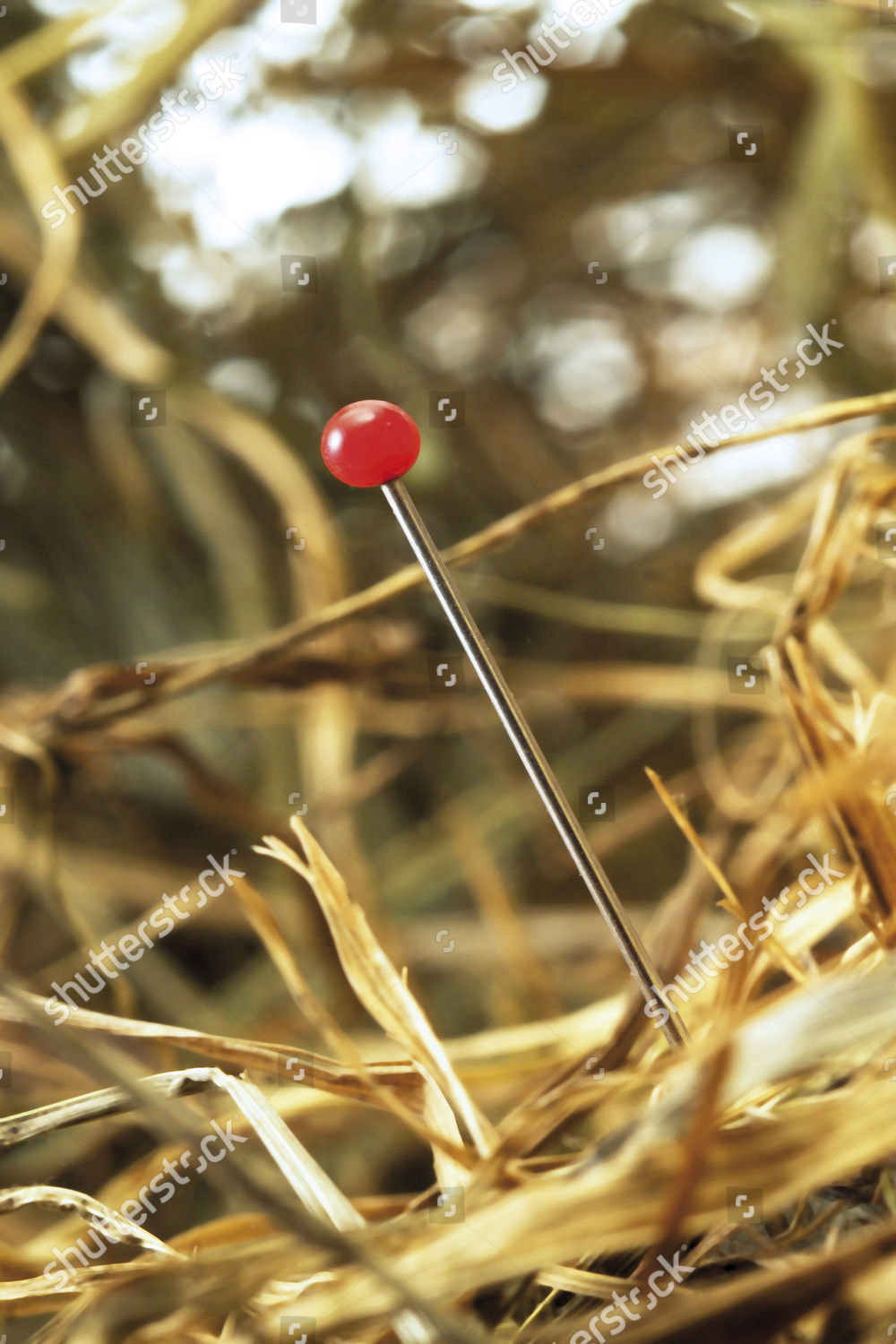 Needle Stack Hay Editorial Stock Photo - Stock Image | Shutterstock