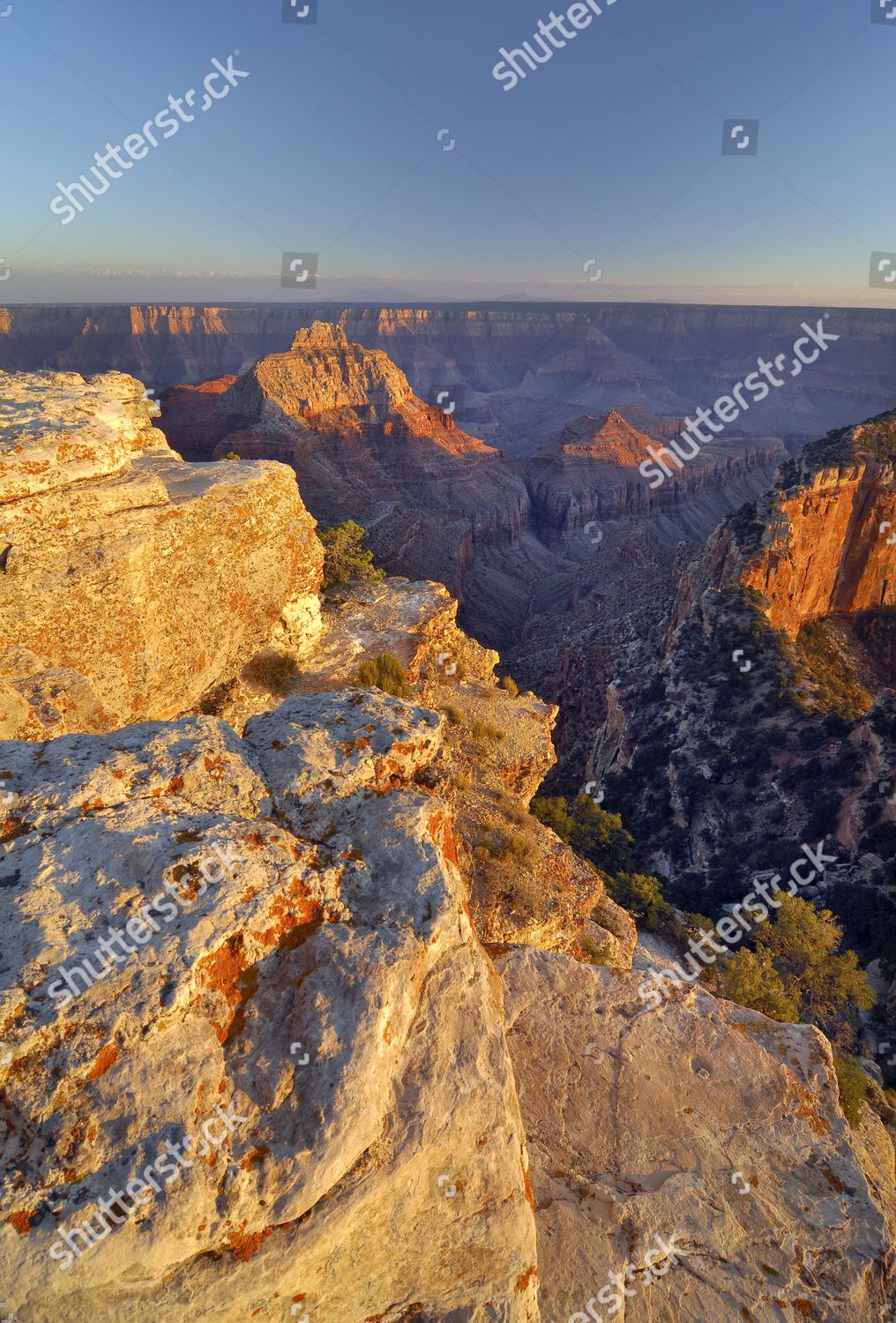 Cape Royal North Rim Grand Canyon Editorial Stock Photo - Stock Image ...