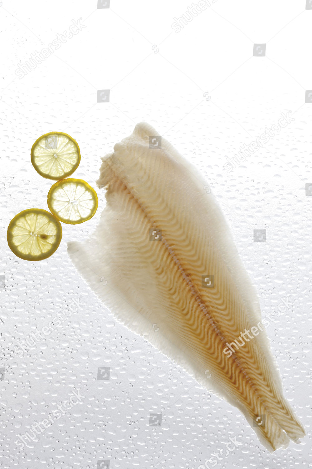 Atlantic Halibut Filet Raw Hippoglossus Hippoglossus Editorial Stock ...