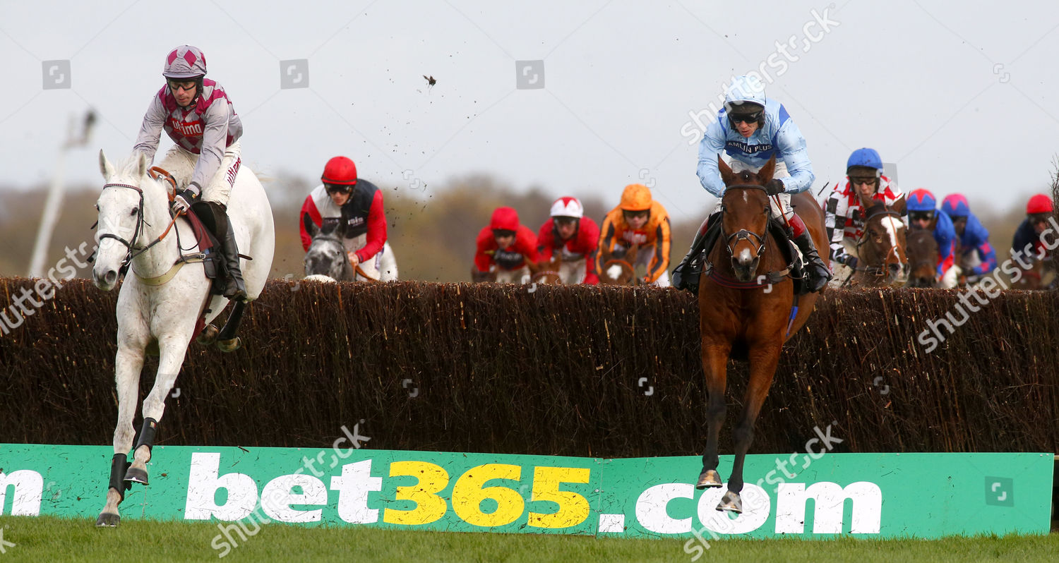 Smad Place Wayne Hutchinson Grey On Editorial Stock Photo - Stock Image ...