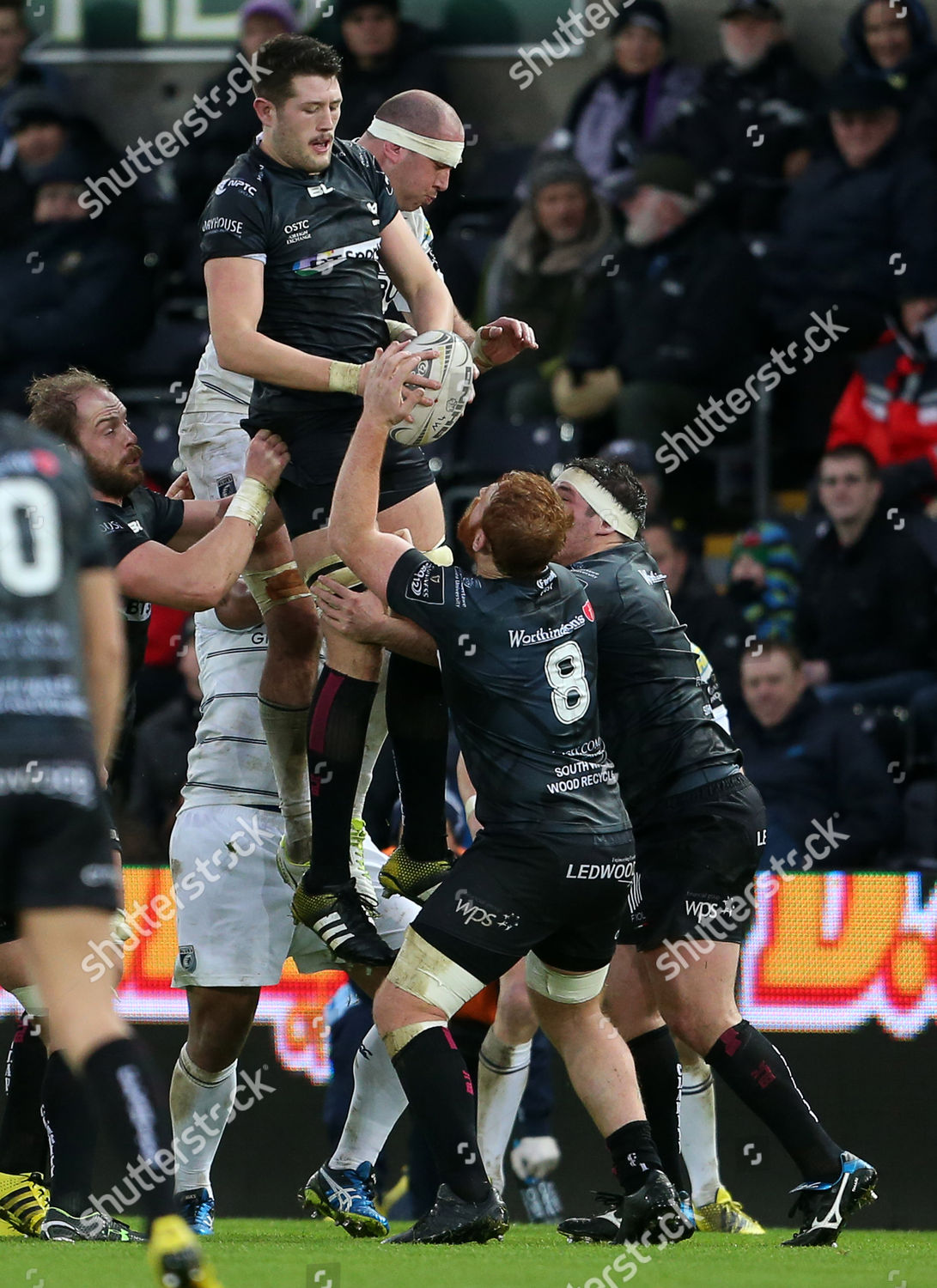 Rory Thornton Ospreys Wins Line Out Editorial Stock Photo - Stock Image ...