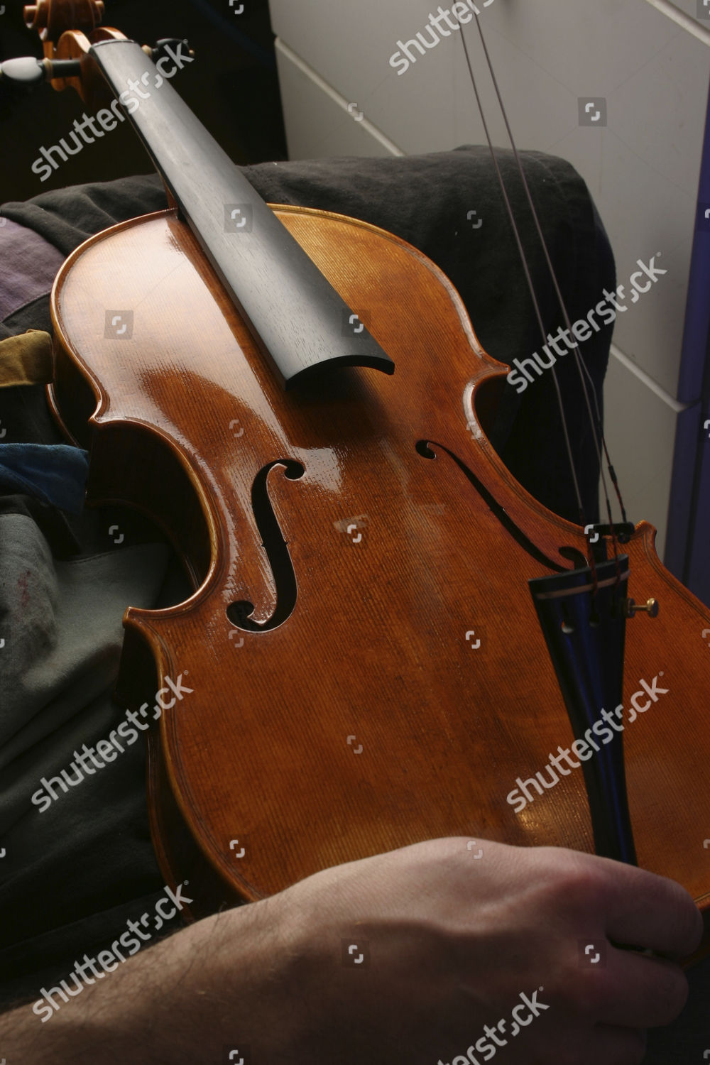 Model Released Violinmaker Luthier Stringing Violin Editorial Stock ...
