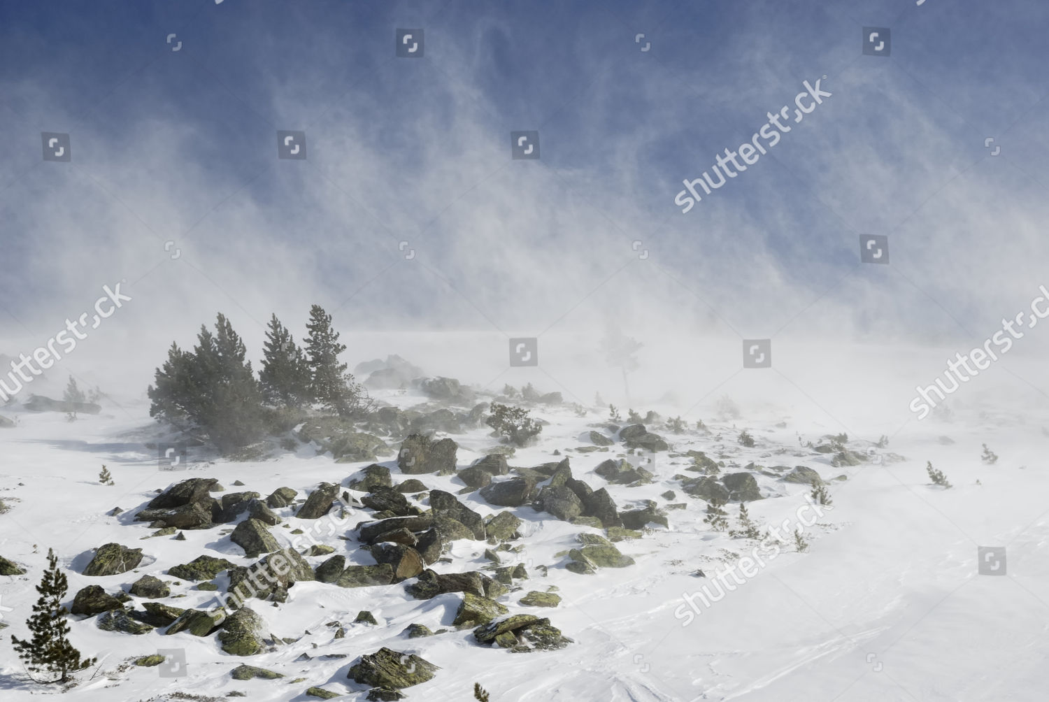 GALE-FORCE WINDS BLOWING NEWLY-FALLEN SNOW DURING Editorial Stock Photo ...