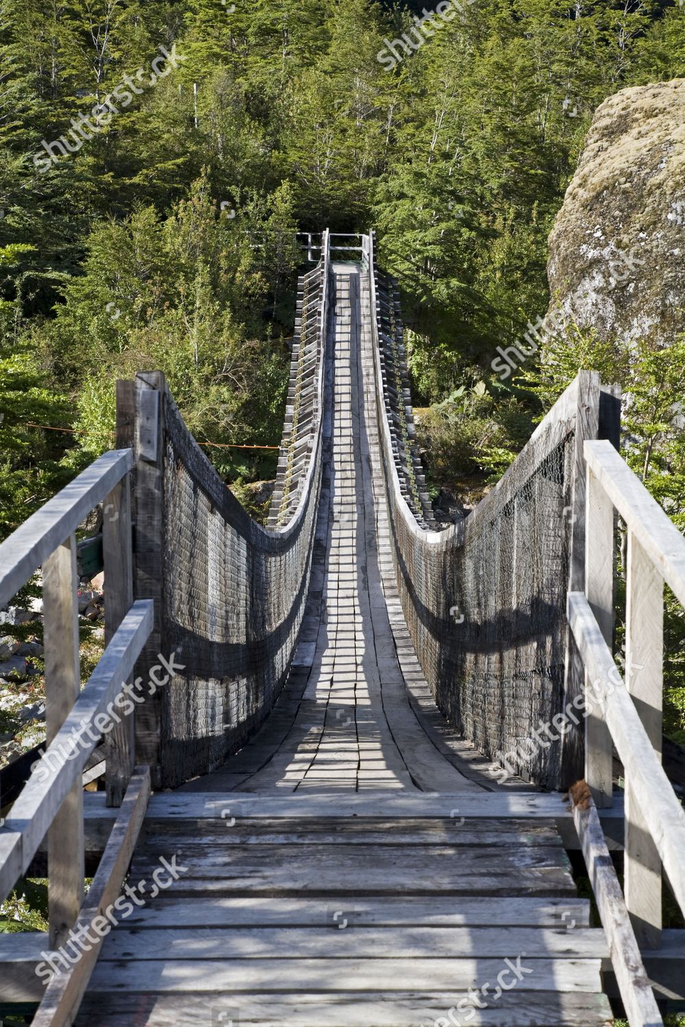 Plank Bridge Park Queulat Carretera Austral Editorial Stock Photo ...