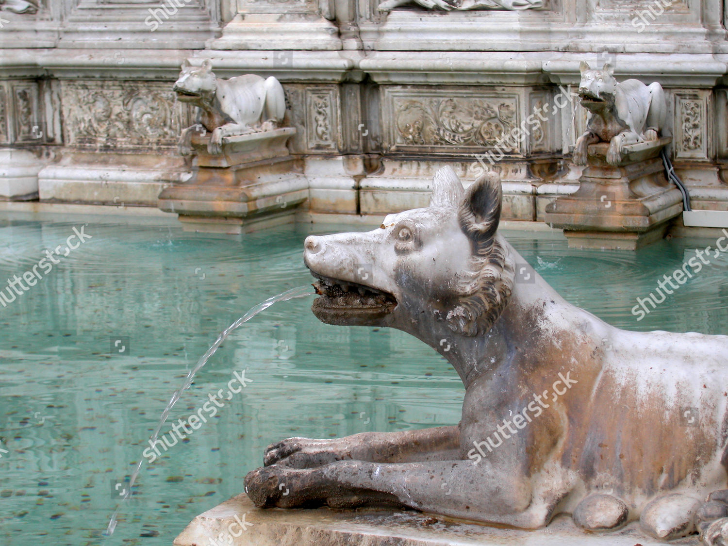 Siena Spouting Figure Wolf Fountain Fonte Editorial Stock Photo - Stock ...