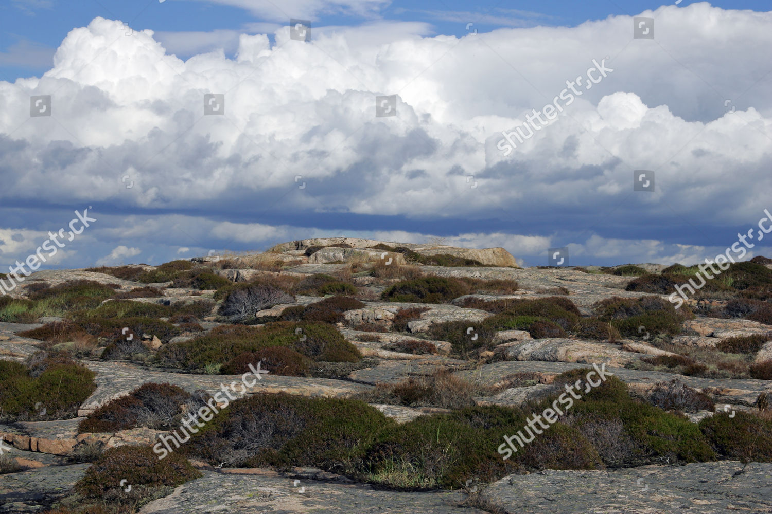 Landscape Granite Rocks Swedish Baltic Sea Editorial Stock Photo ...