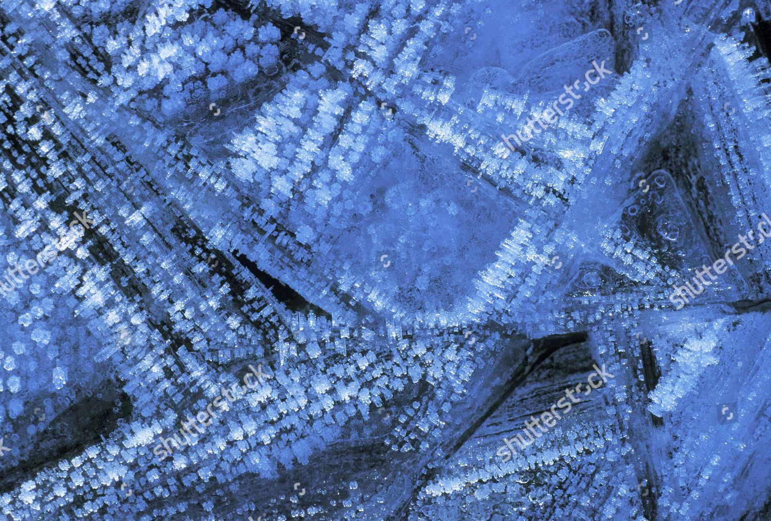 Hoar Frost Crystals Editorial Stock Photo - Stock Image | Shutterstock
