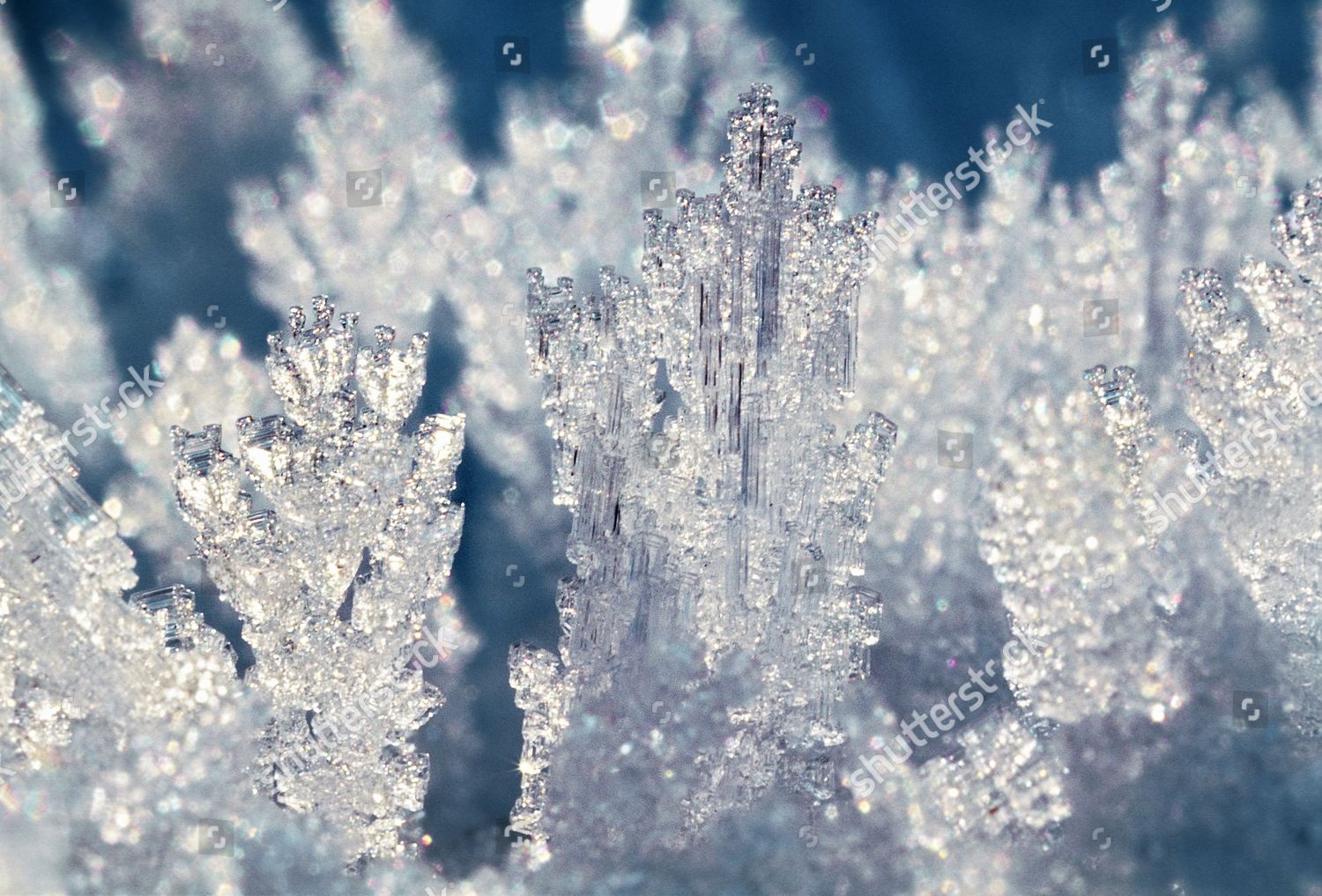 Hoar Frost Crystals Editorial Stock Photo - Stock Image | Shutterstock
