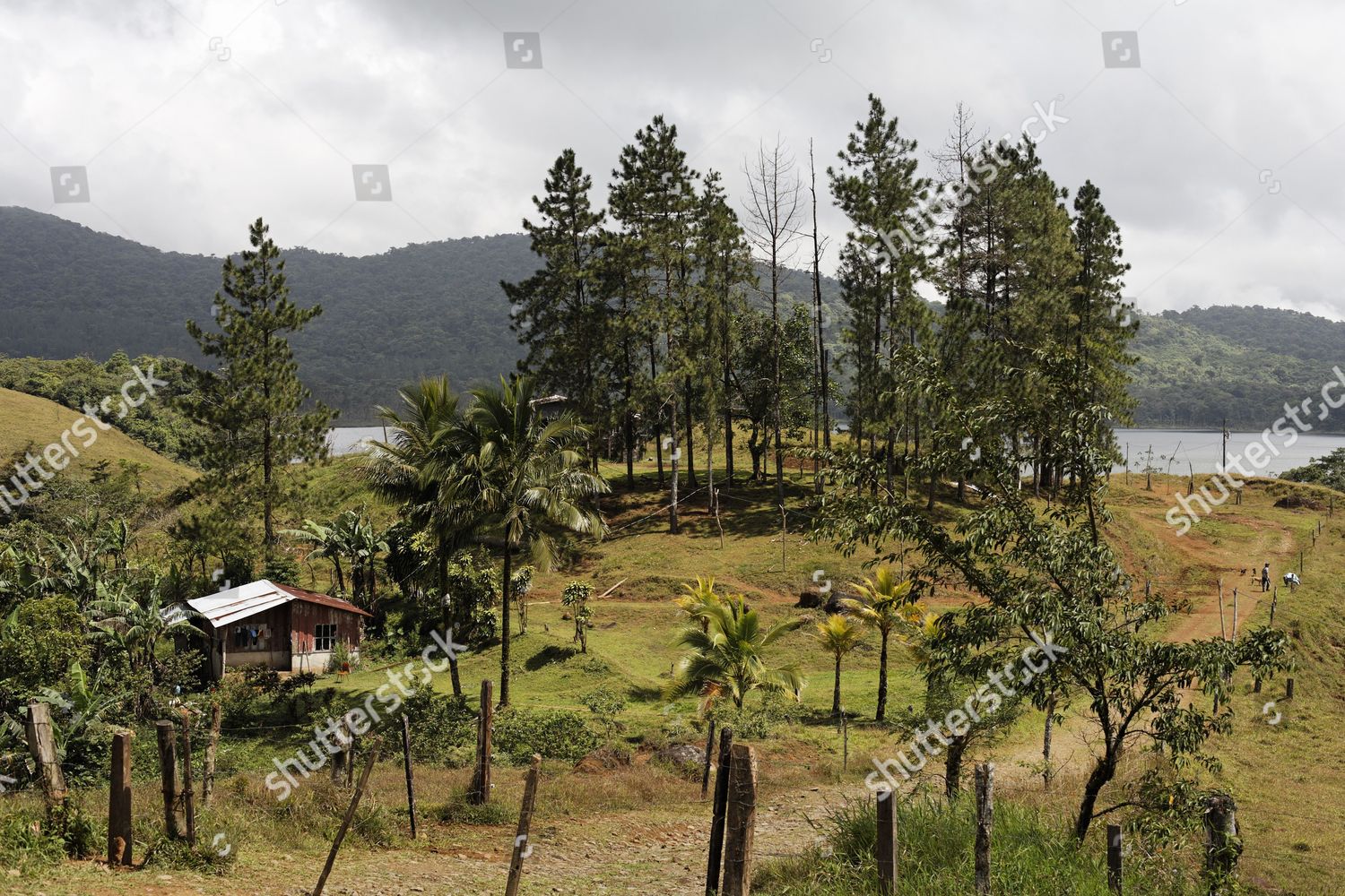 Lago De Cote Arenal Region Costa Editorial Stock Photo - Stock Image ...