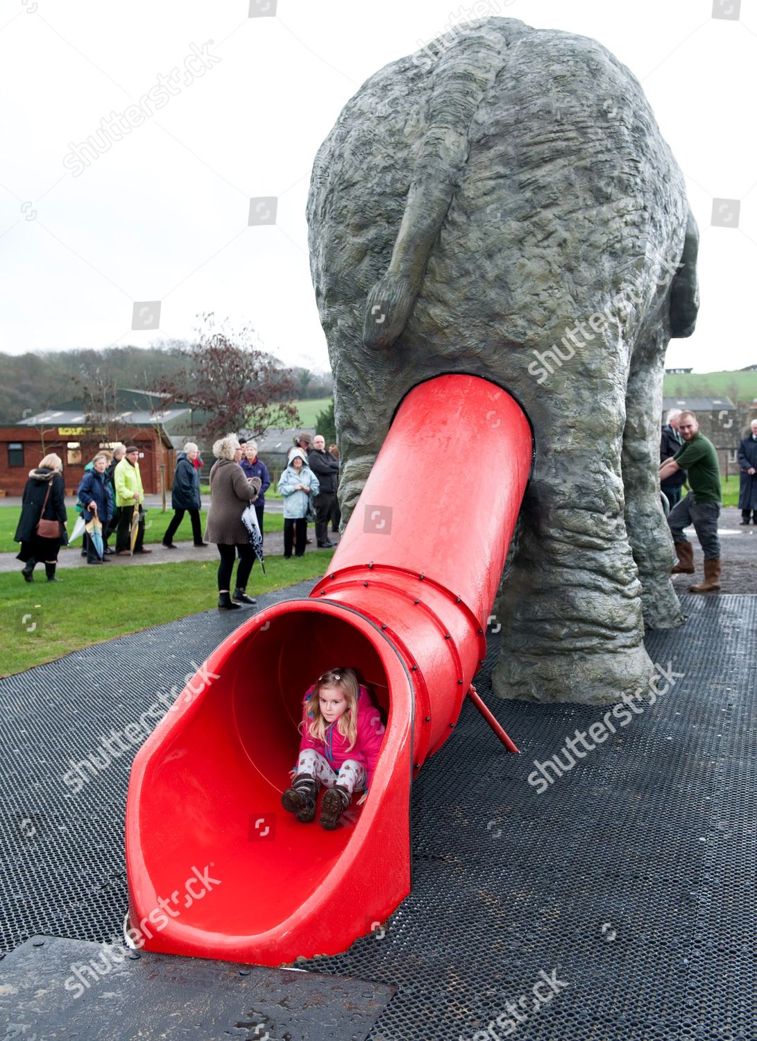 Princess Anne Opens Elephant Eden Elephant Editorial Stock Photo ...