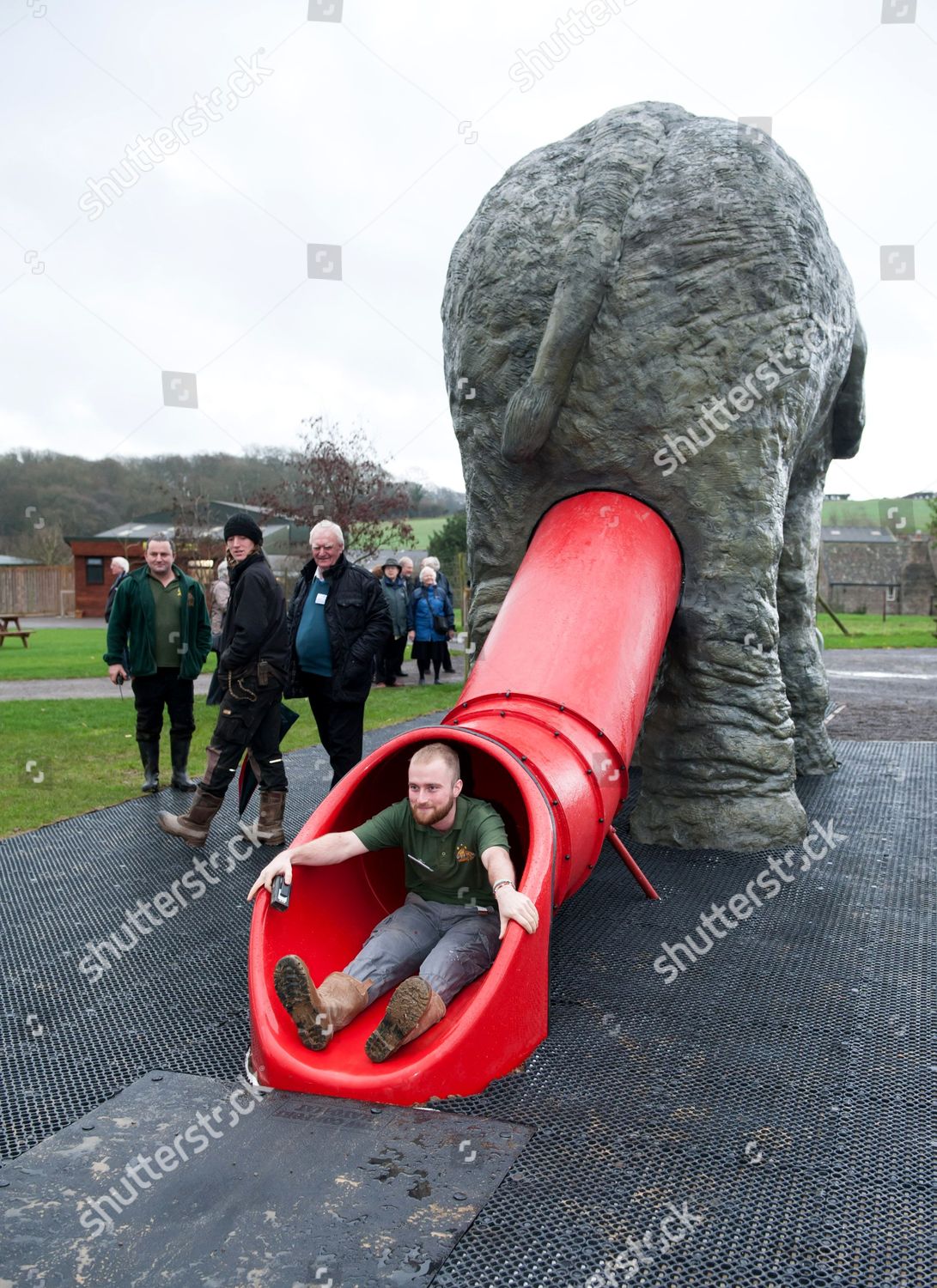 Princess Anne Opens Elephant Eden Elephant Editorial Stock Photo ...
