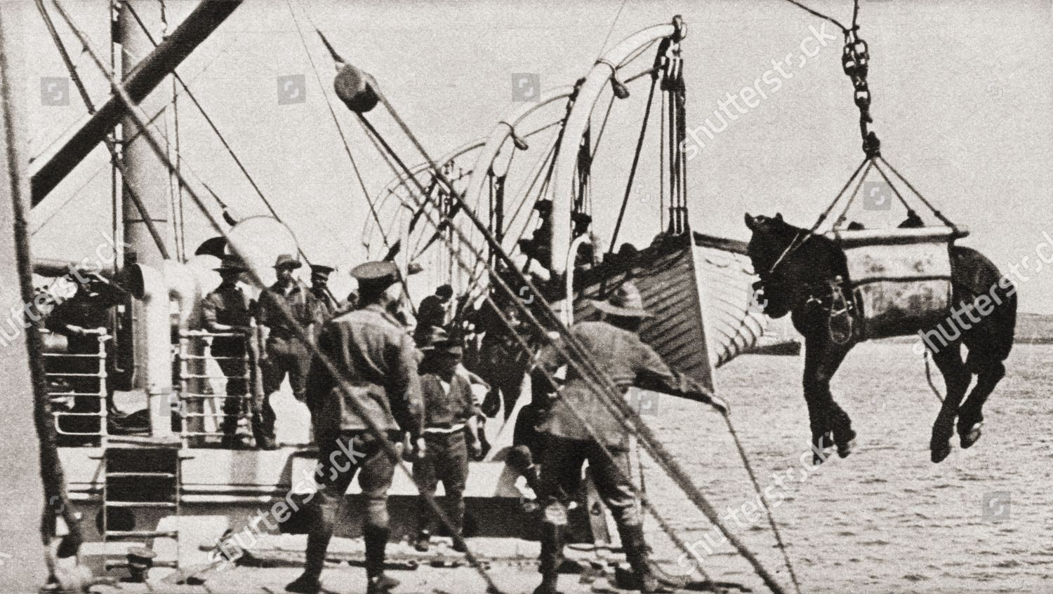 Landing Horses Troops Gallipoli During World Editorial Stock Photo ...