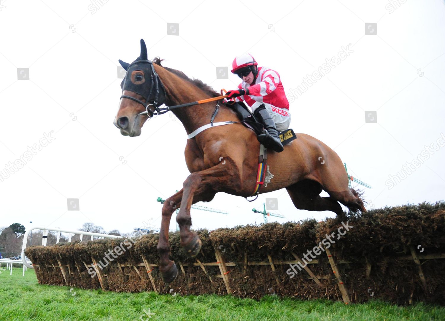 Leopardstown Acapella Bourgeois Jonathan Burke Jump Editorial Stock ...