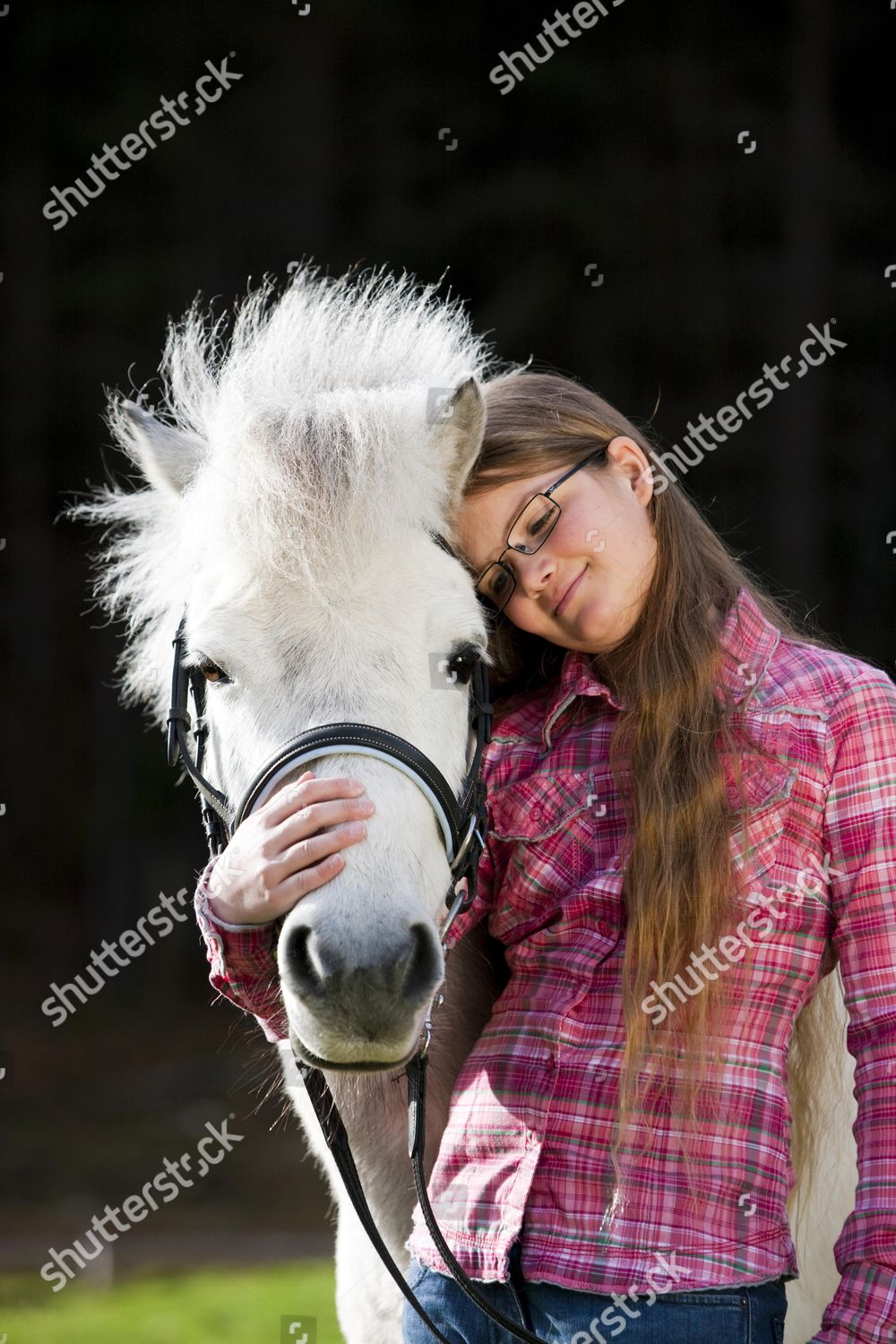 Model Released Girl Pony Schimmel Austria Editorial Stock Photo - Stock ...