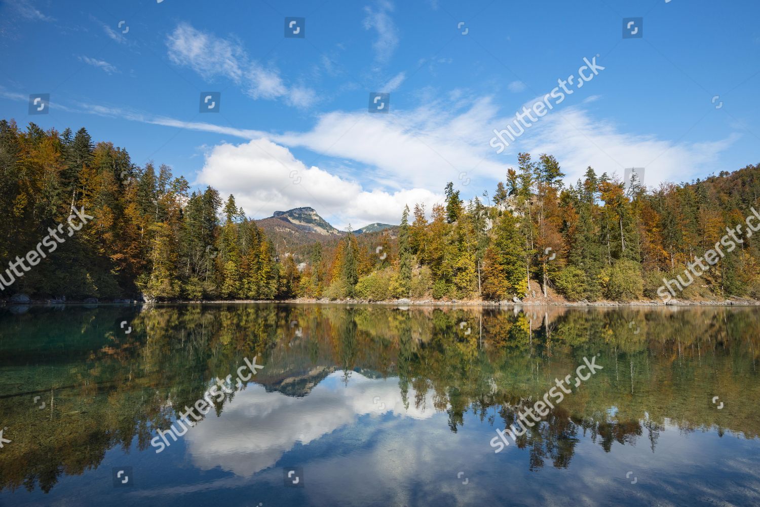 Autumn Mood By Kleiner Odsee Lake Editorial Stock Photo - Stock Image ...
