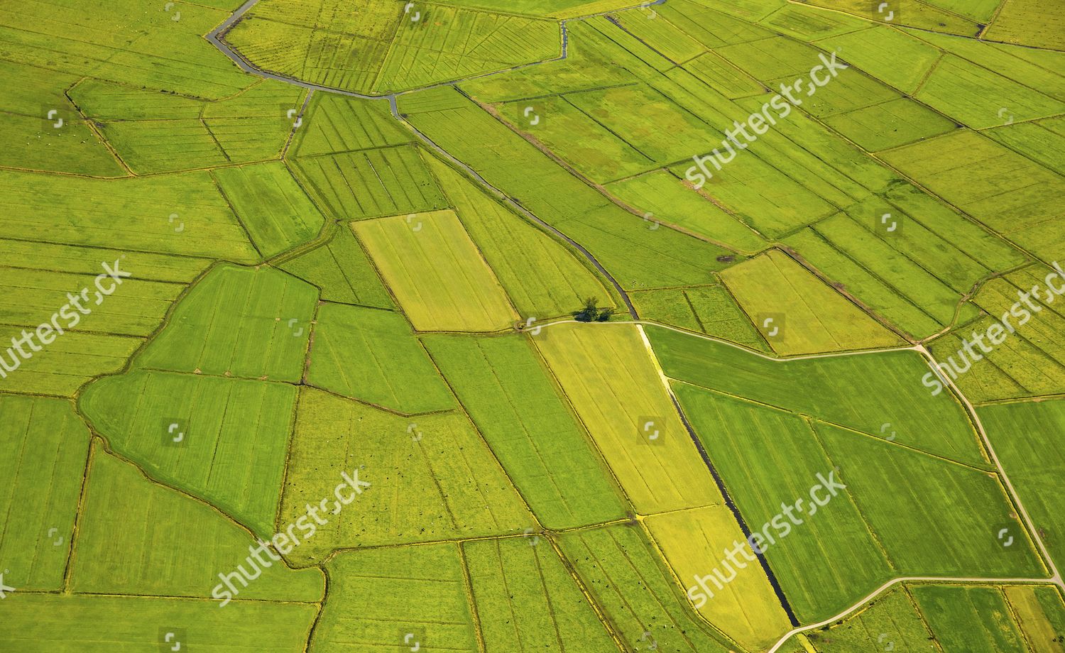 Fields Polder Drainage Ditches Marsh Areas Editorial Stock Photo ...