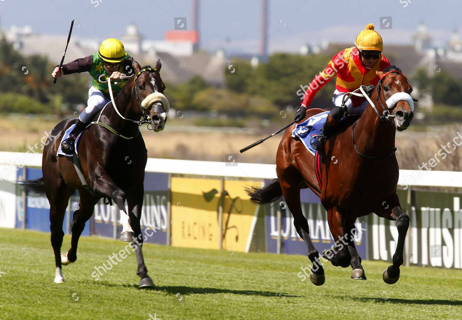 Black Arthur Piere Strydom Right Winning Editorial Stock Photo - Stock ...