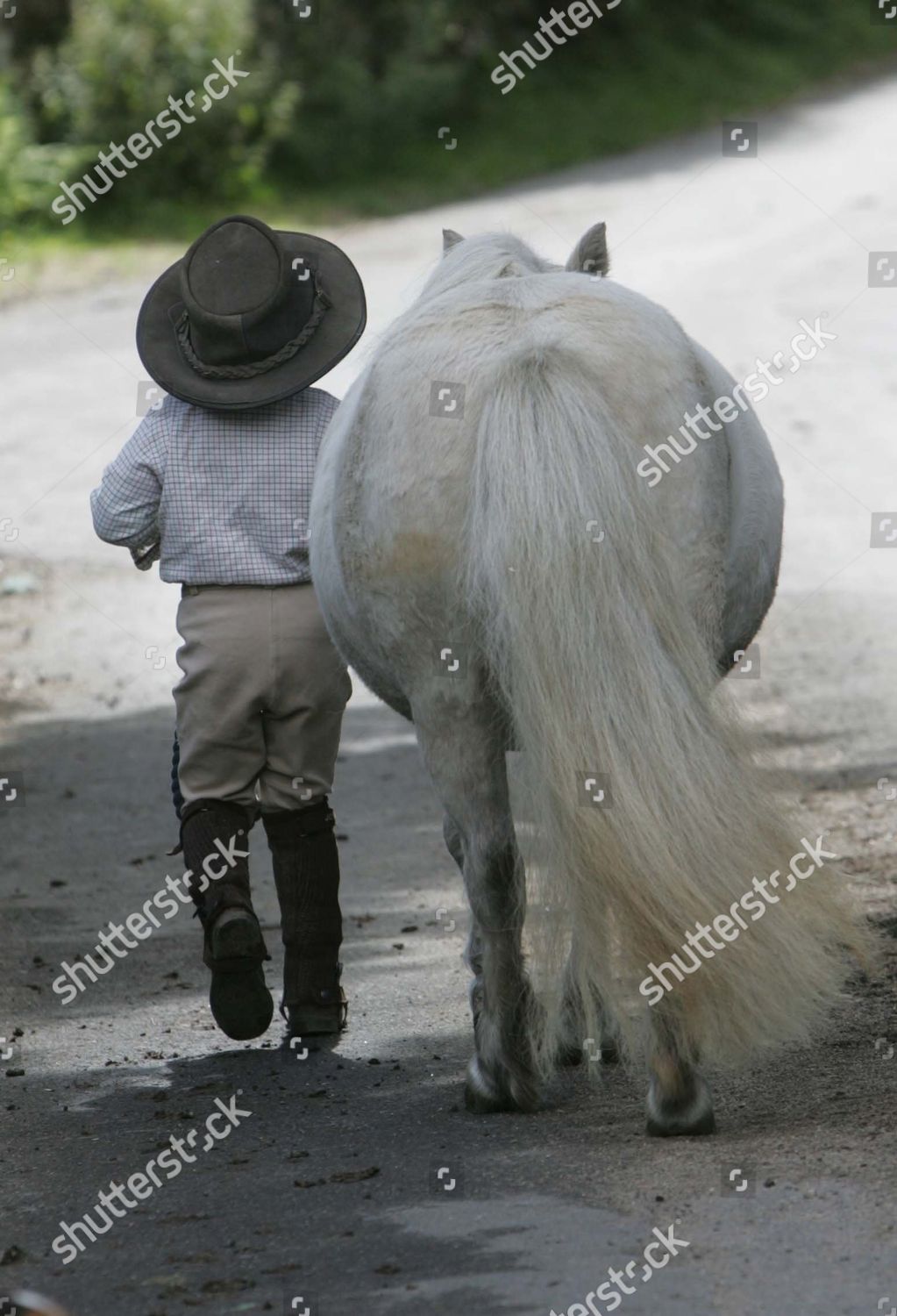 Thomas Faulkner His Dartmoor Pony Midge Editorial Stock Photo - Stock ...