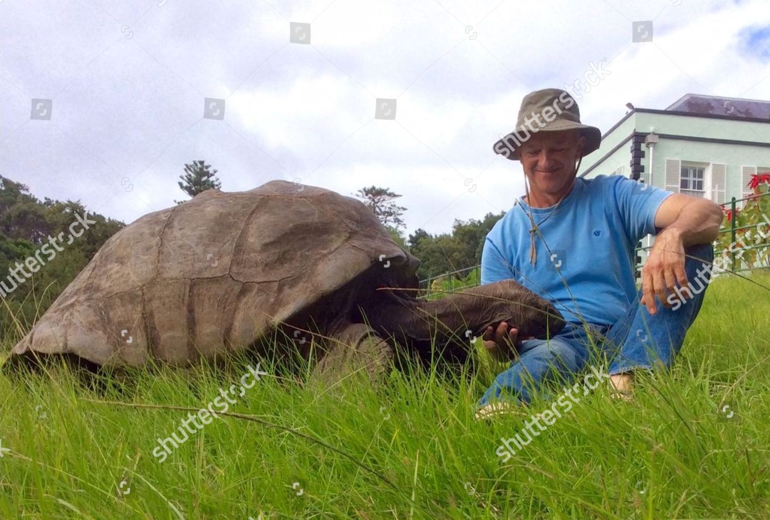 Vet Dr Joe Hollins Giant Tortoise Editorial Stock Photo - Stock Image ...
