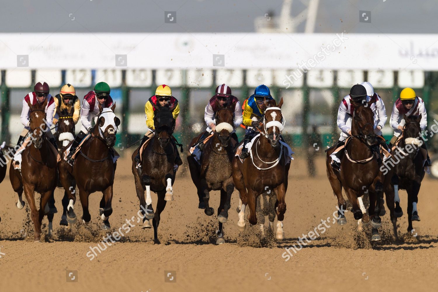 Horses Make First Turn Baroot Under Editorial Stock Photo - Stock Image ...