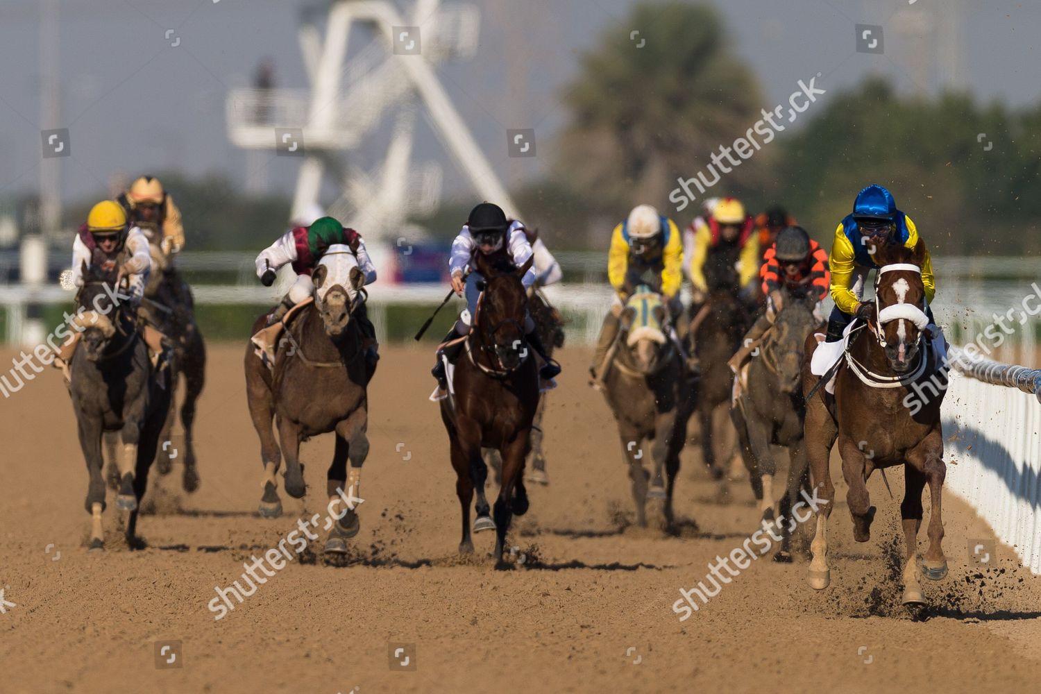Baroot Under Wayne Smith Wins 95f Editorial Stock Photo - Stock Image ...