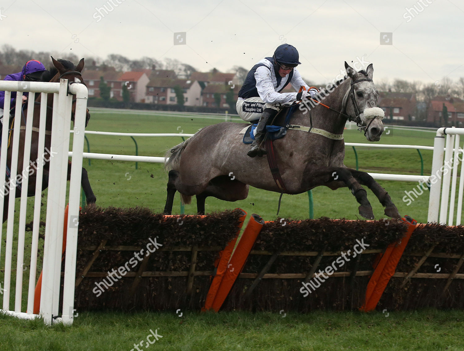 Lake View Stephen Mulqueen Wins Ayr Editorial Stock Photo - Stock Image ...