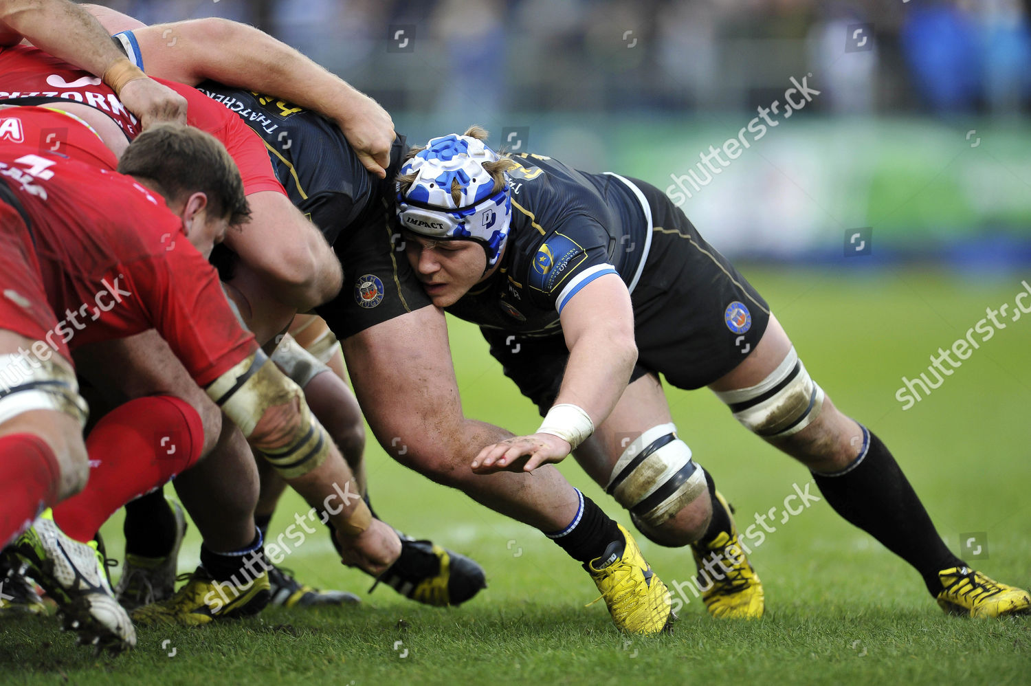 David Denton Bath Rugby Action Scrum Editorial Stock Photo - Stock ...
