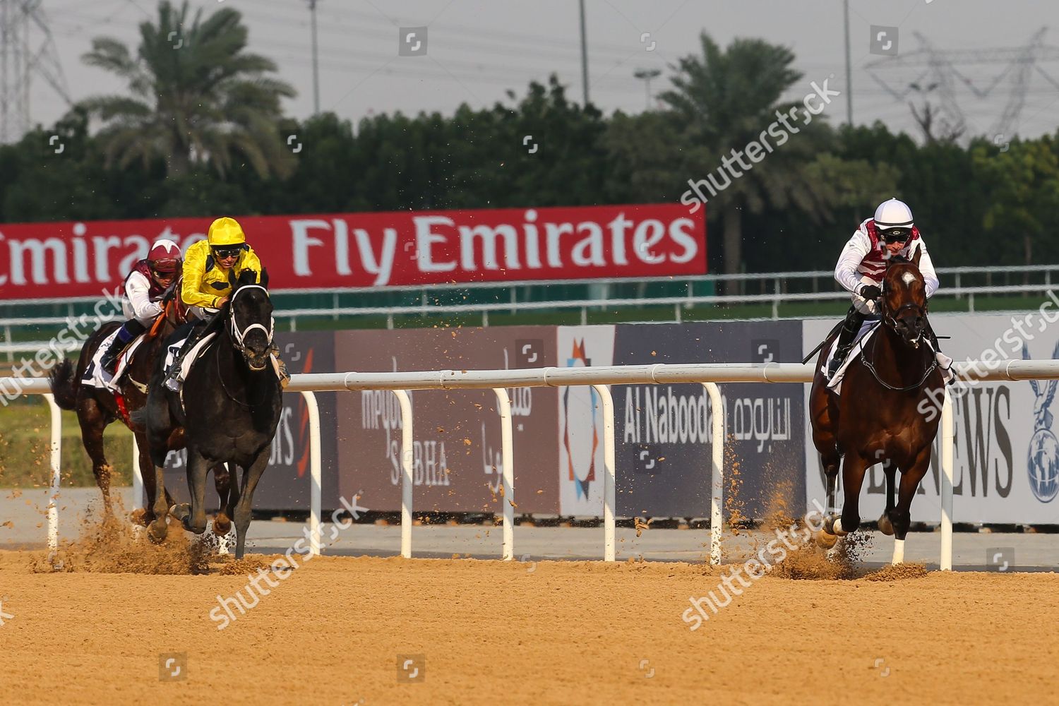 Dubai Meydan Race Track Mutahaddith Tadhg Editorial Stock Photo - Stock ...