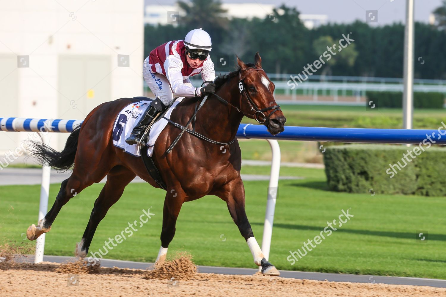 Dubai Meydan Race Track Mutahaddith Tadhg Editorial Stock Photo - Stock ...