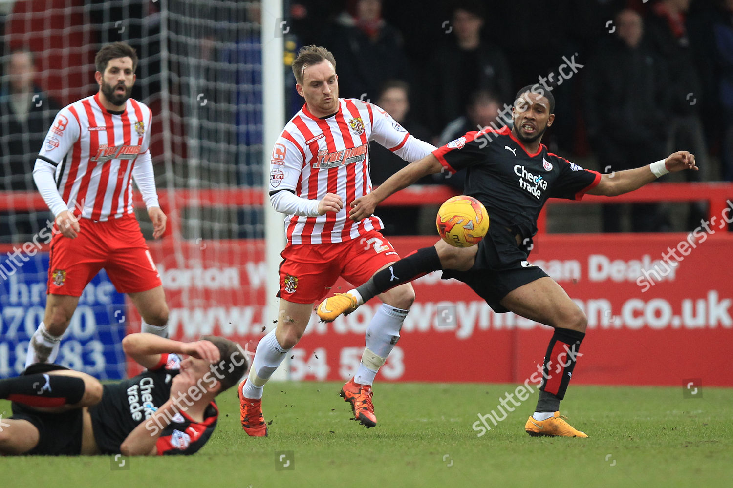Gavin Tomlin Crawley Town Tangles Charlie Editorial Stock Photo - Stock ...