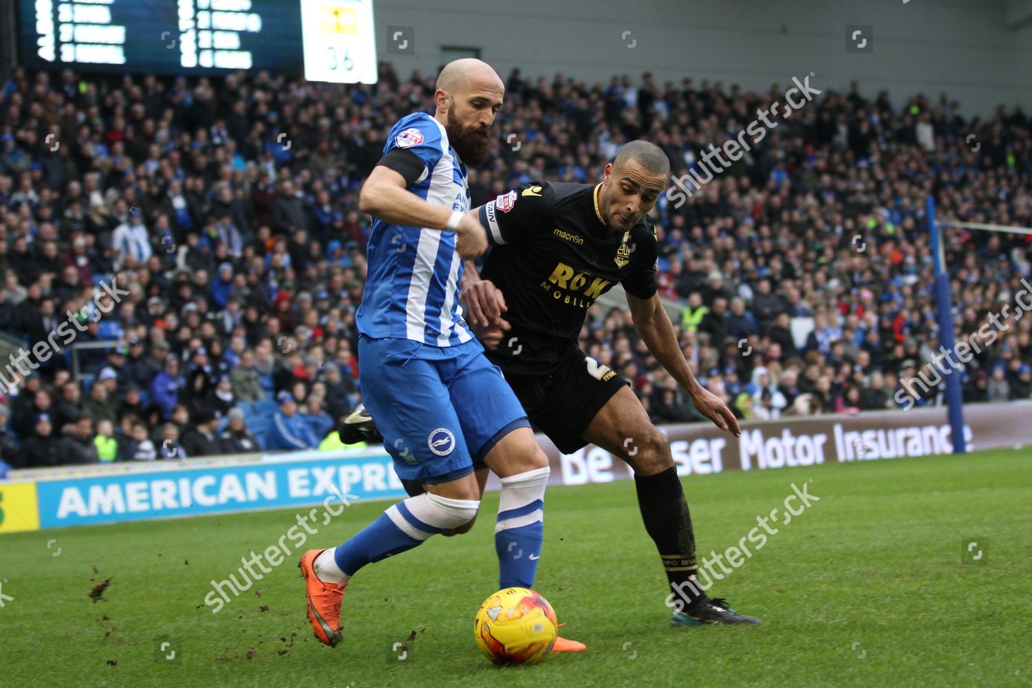Brighton Defender Bruno Saltor 2 Shields Editorial Stock Photo - Stock ...