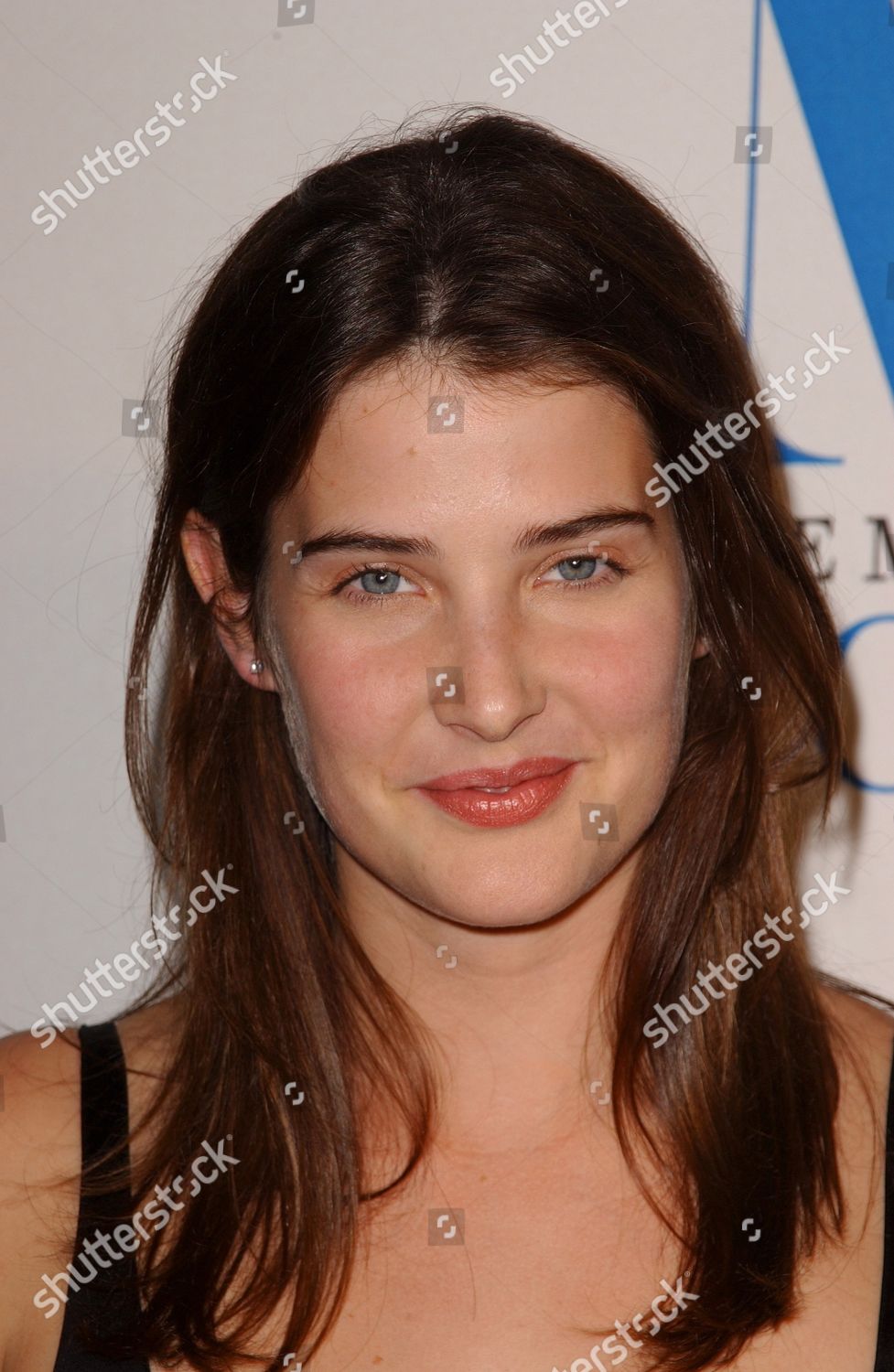 Cobe Smulders Editorial Stock Photo - Stock Image | Shutterstock