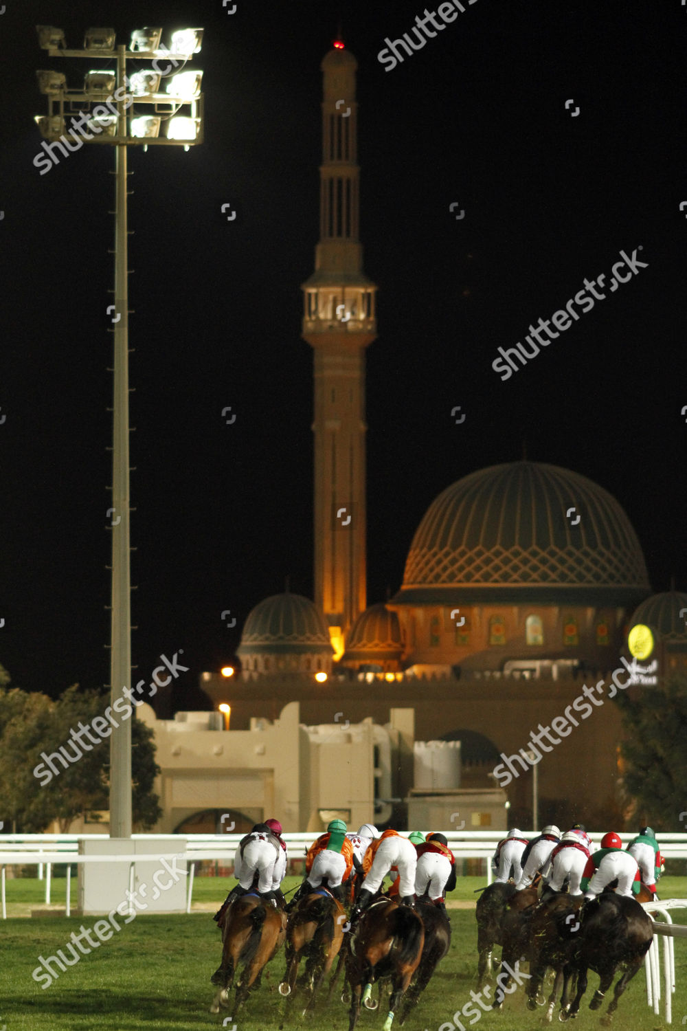 Racing Al Rayyan Racecourse Doha Qatar Editorial Stock Photo - Stock ...