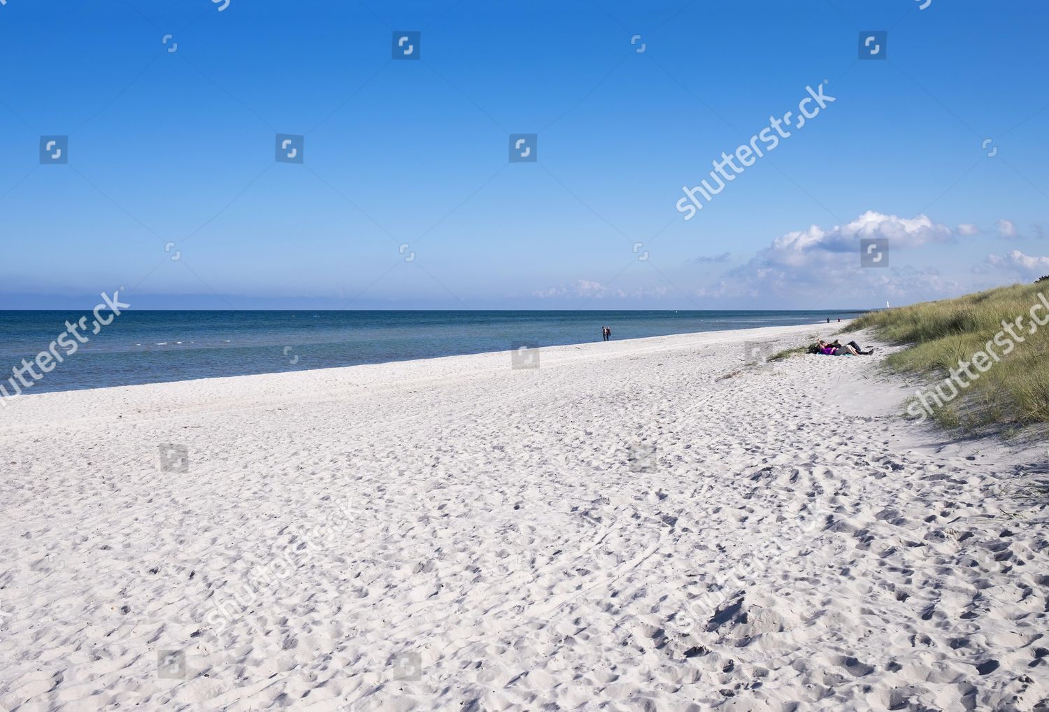Beach Prerow Baltic Sea Darss Fischlanddarsszingst Editorial Stock ...