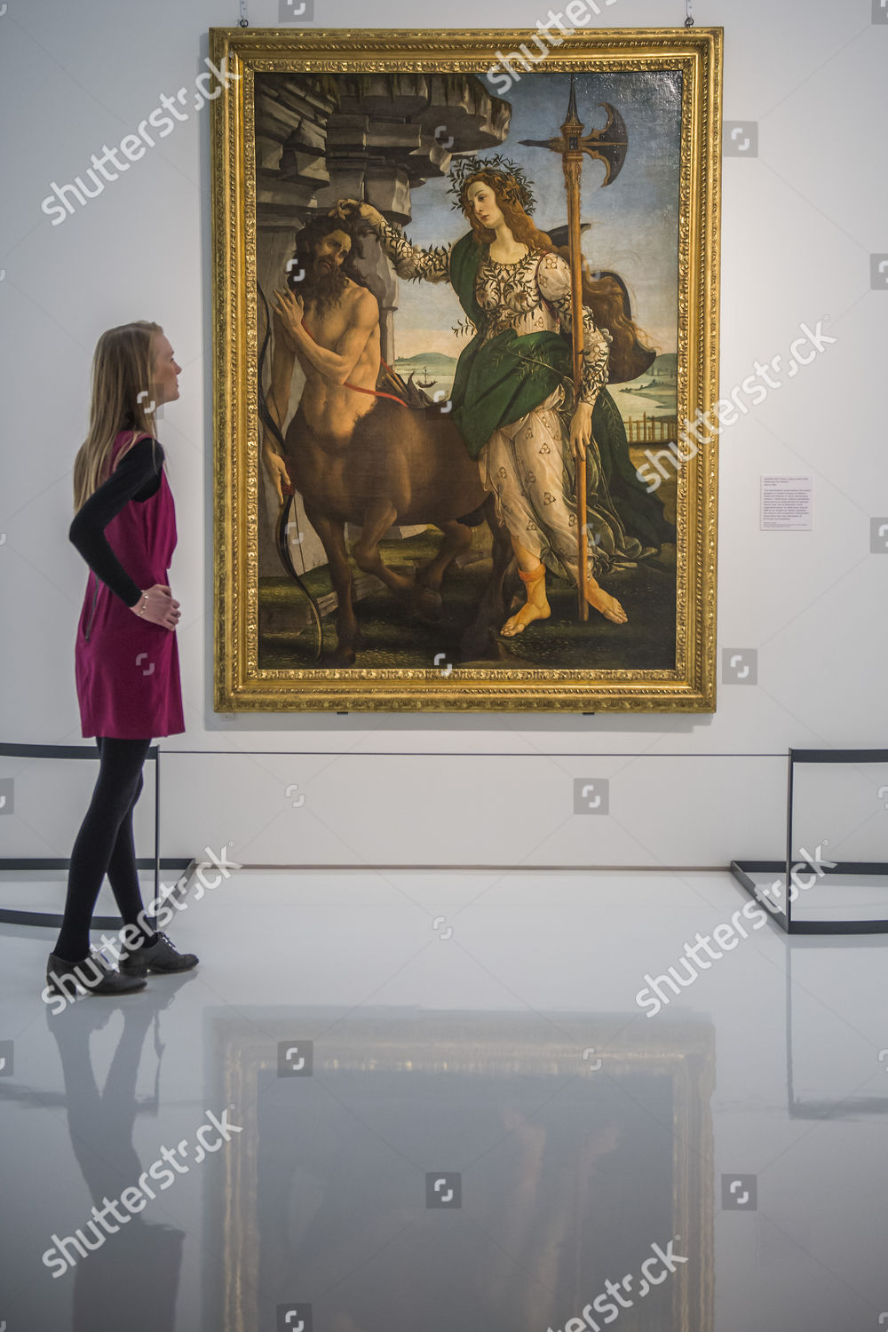 Pallas Centaur 1482 Botticelli Reimagined New Editorial Stock Photo ...
