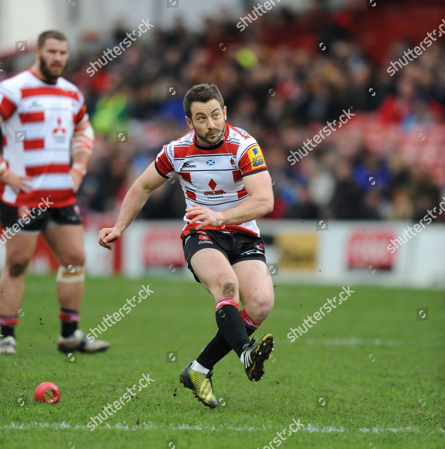 Gloucester Rugbys Greg Laidlaw Gets First Editorial Stock Photo - Stock ...