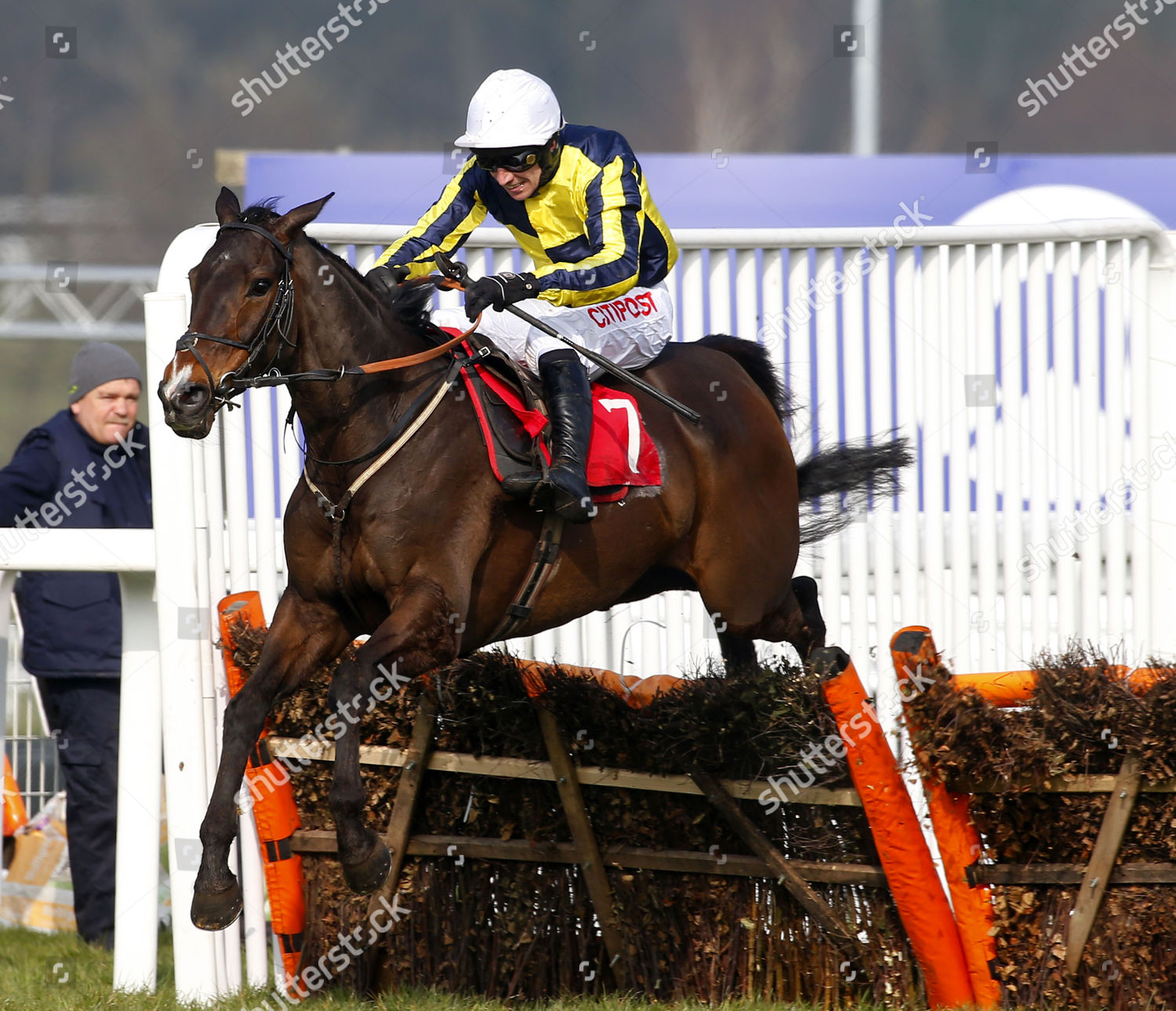 Barney Dawn Paddy Brennan Winning 30th Editorial Stock Photo - Stock ...