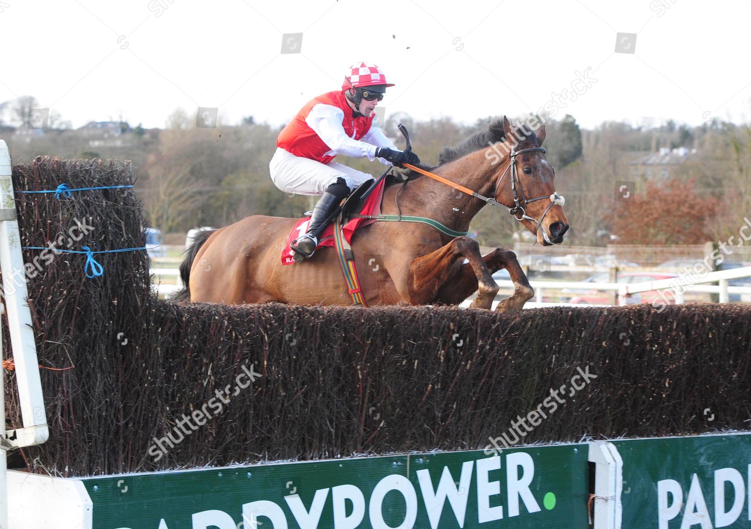 Cork Another Rebel Martin Ferris Made Editorial Stock Photo - Stock ...