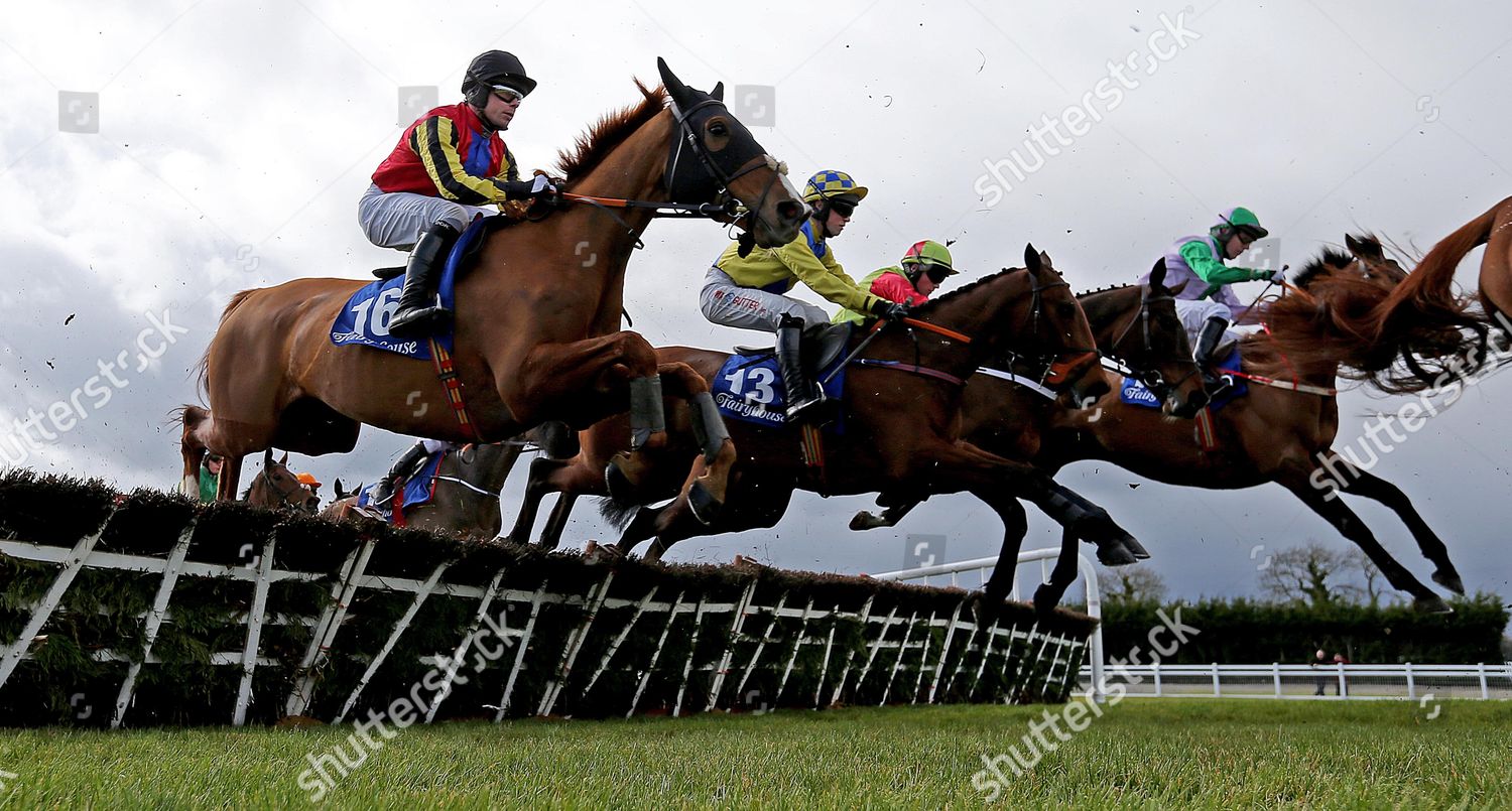 View Field First Race Day Editorial Stock Photo - Stock Image ...