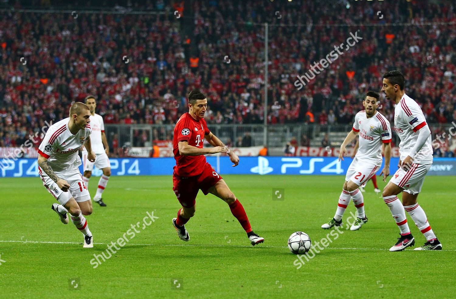 Robert Lewandowski Bayern Munich During Champions Editorial Stock Photo ...
